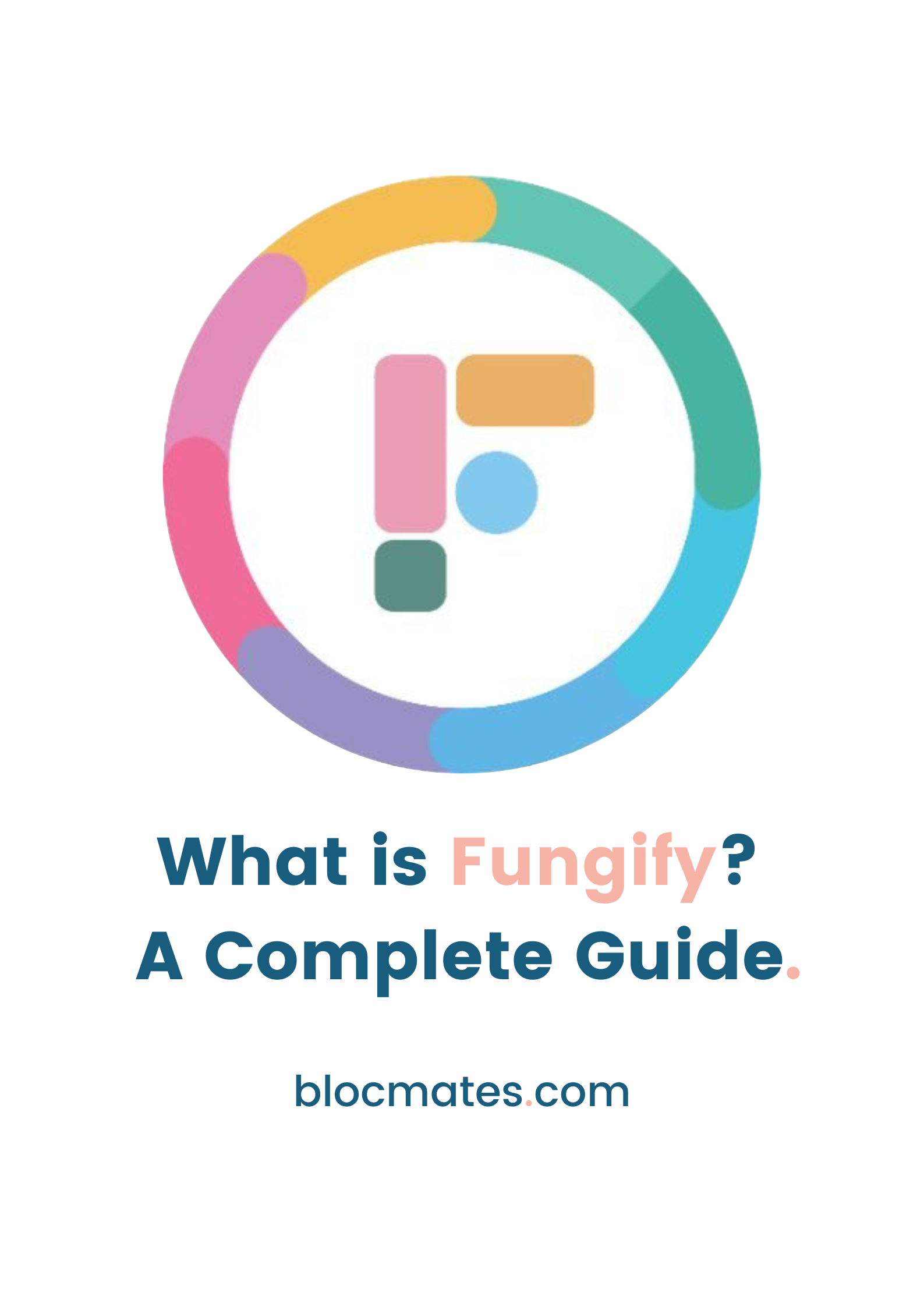 What is Fungify? A Complete Guide.