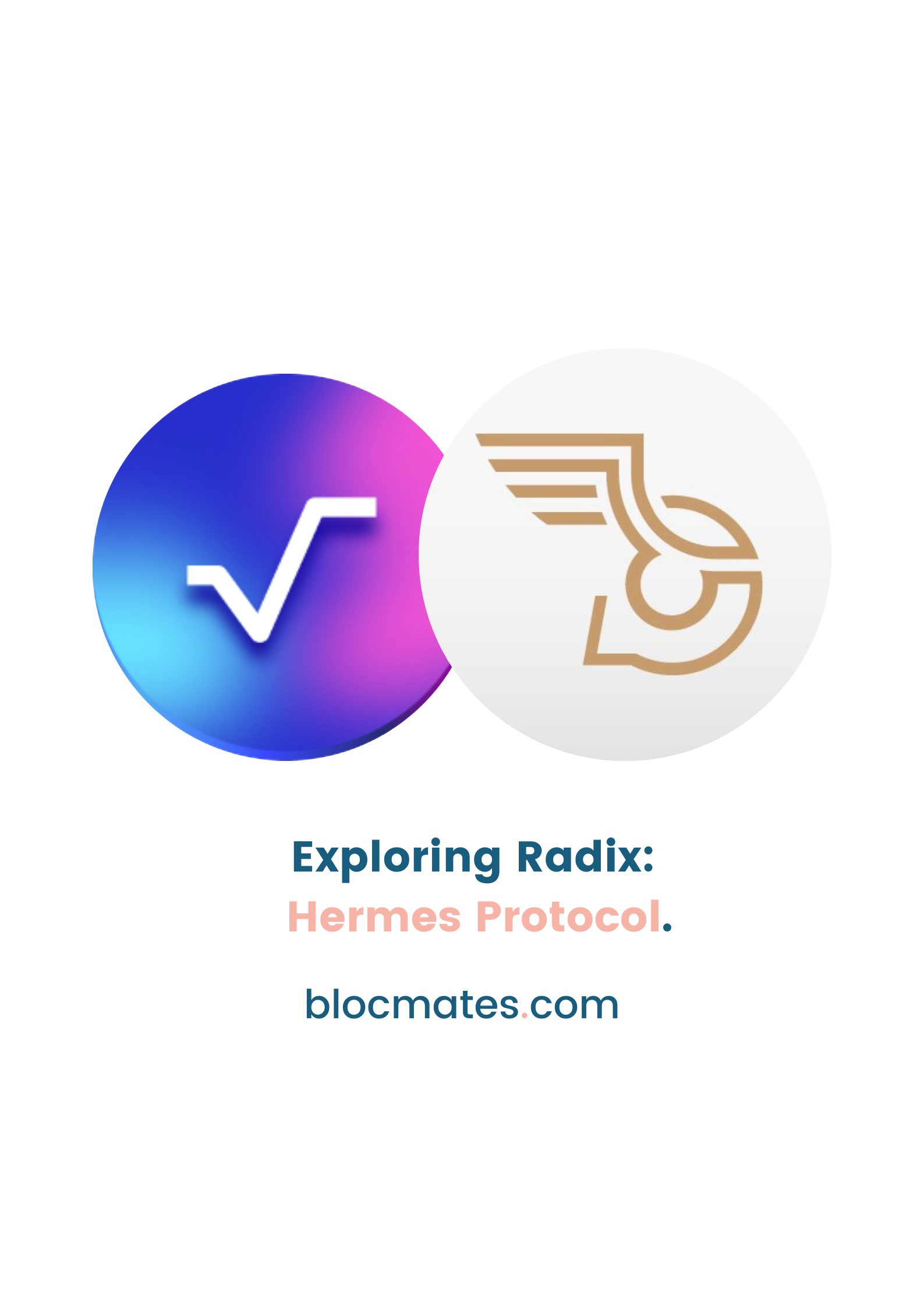 Exploring Radix: Hermes Protocol