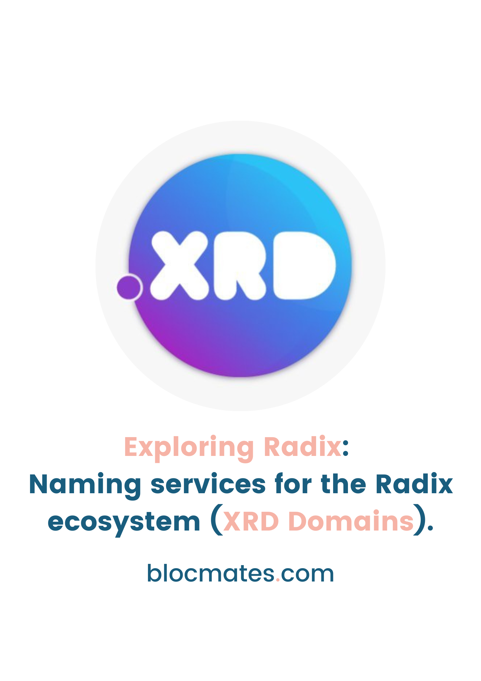 Exploring Radix: Naming services for the Radix ecosystem (XRD Domains)
