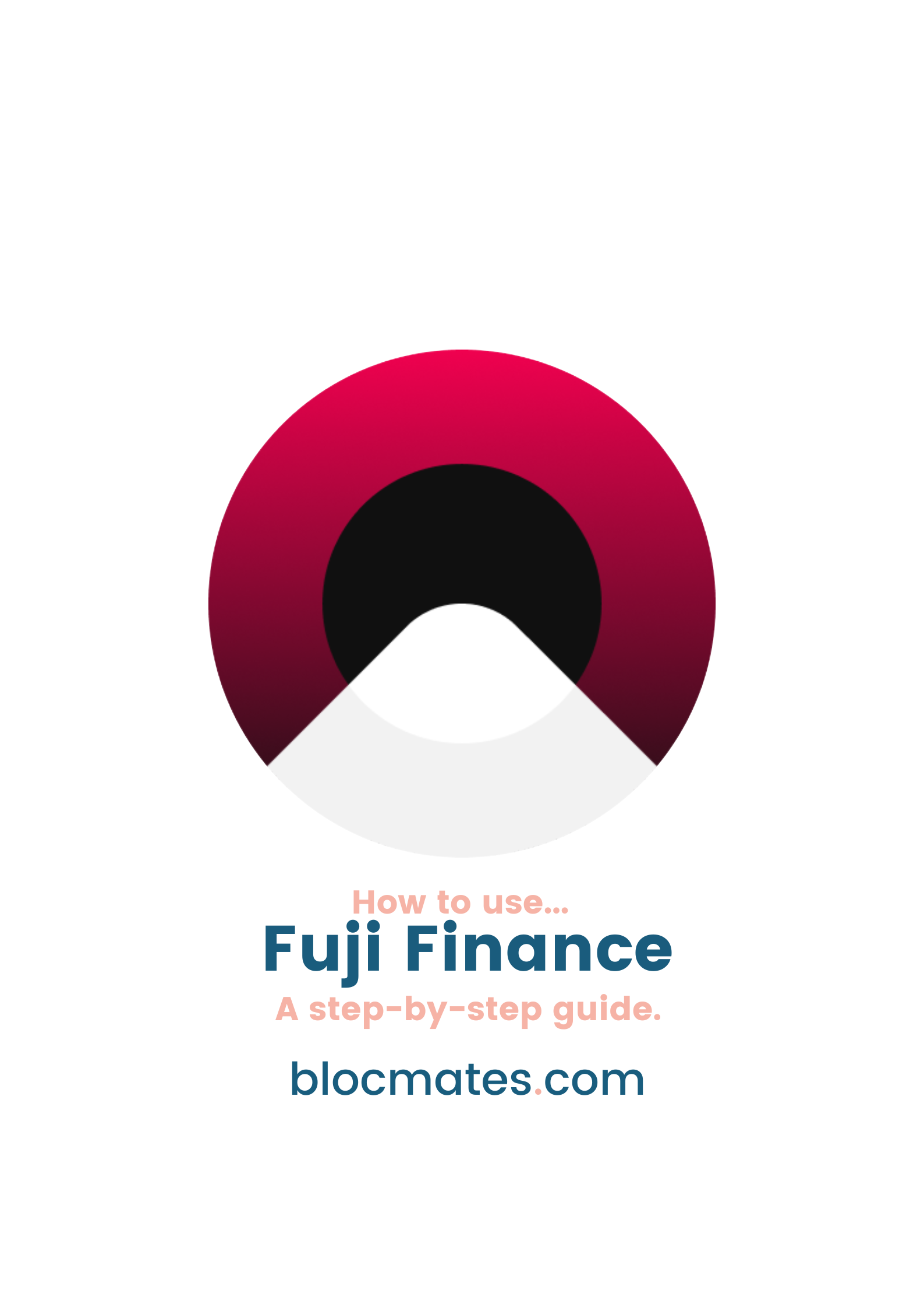 How to Use Fuji Finance: A Step-by-Step Guide