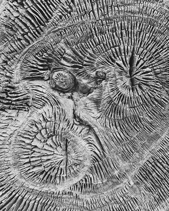 Photography Basics | VSCO Learn