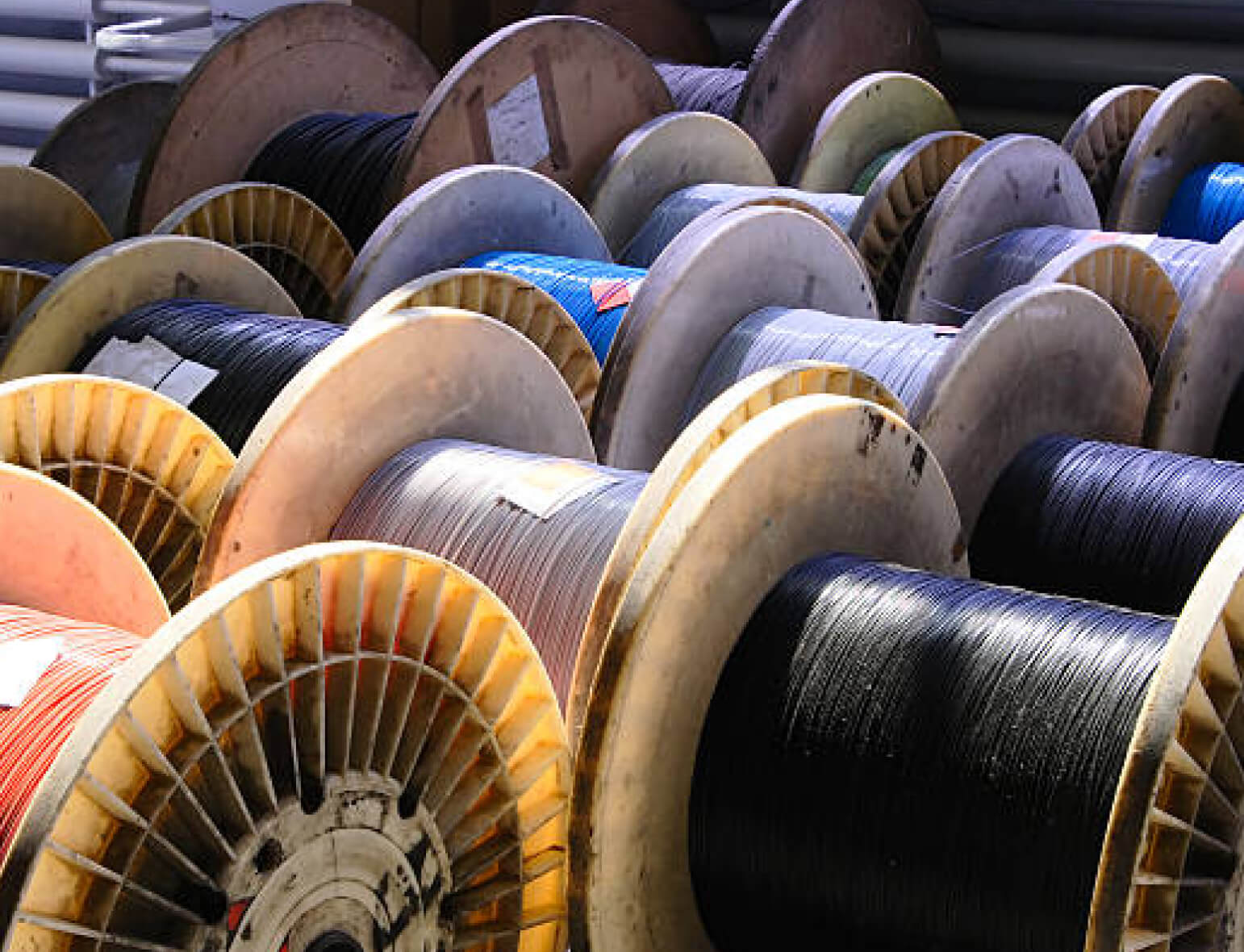 Expert Services, Tailored for Your Success