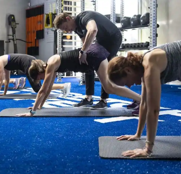 Dynamic Neuromuscular Stabilization the Key to Postural Harmony and ...