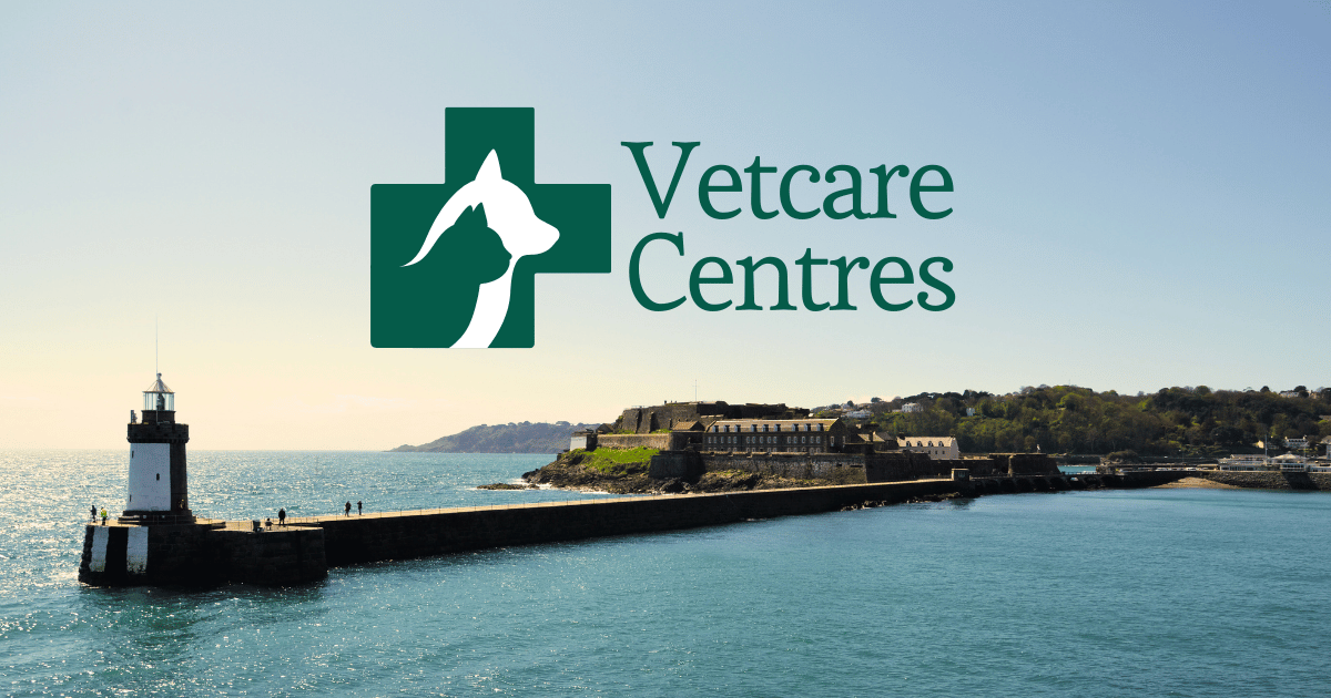 Our Services - Vetcare Centres
