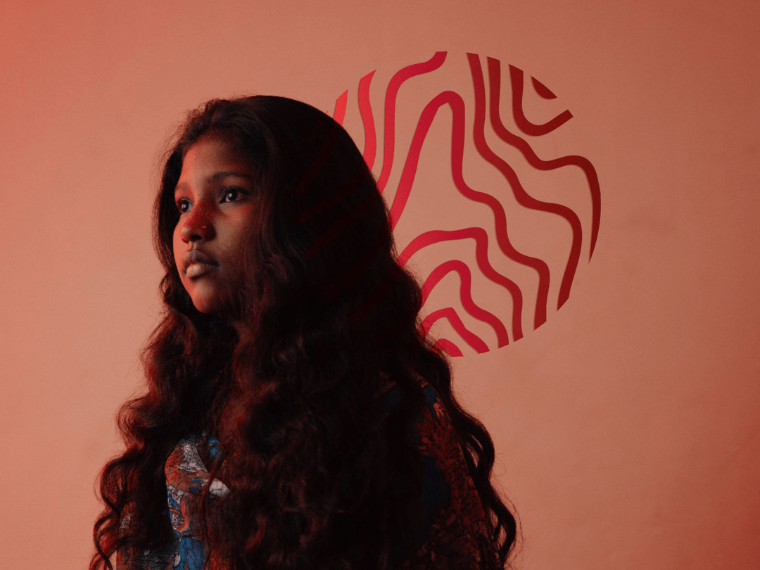 Studio Tigris - Design & Web Agency