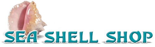Sea Shell Shop | Home