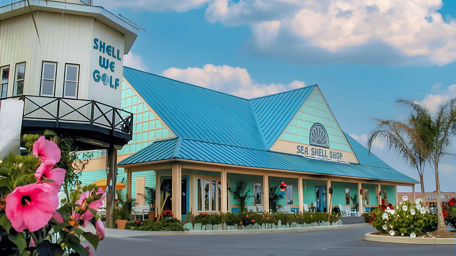 Sea Shell Shop | Home