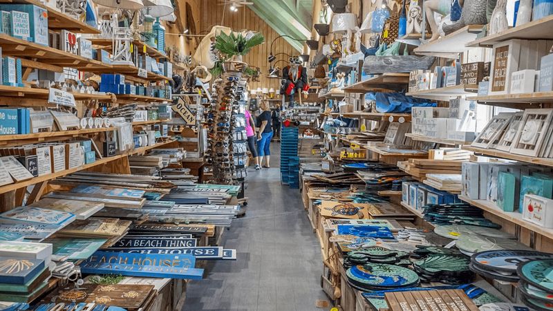 Sea Shell Shop | Home