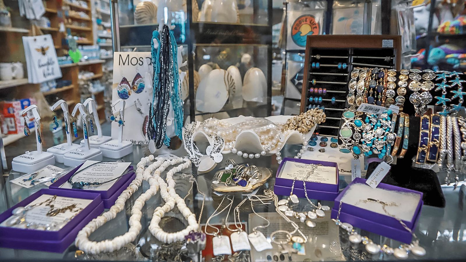 Sea Shell Shop | Home