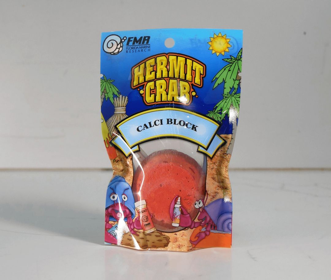 Calcium Block | Sea Shell Shop - Rehoboth Beach DE