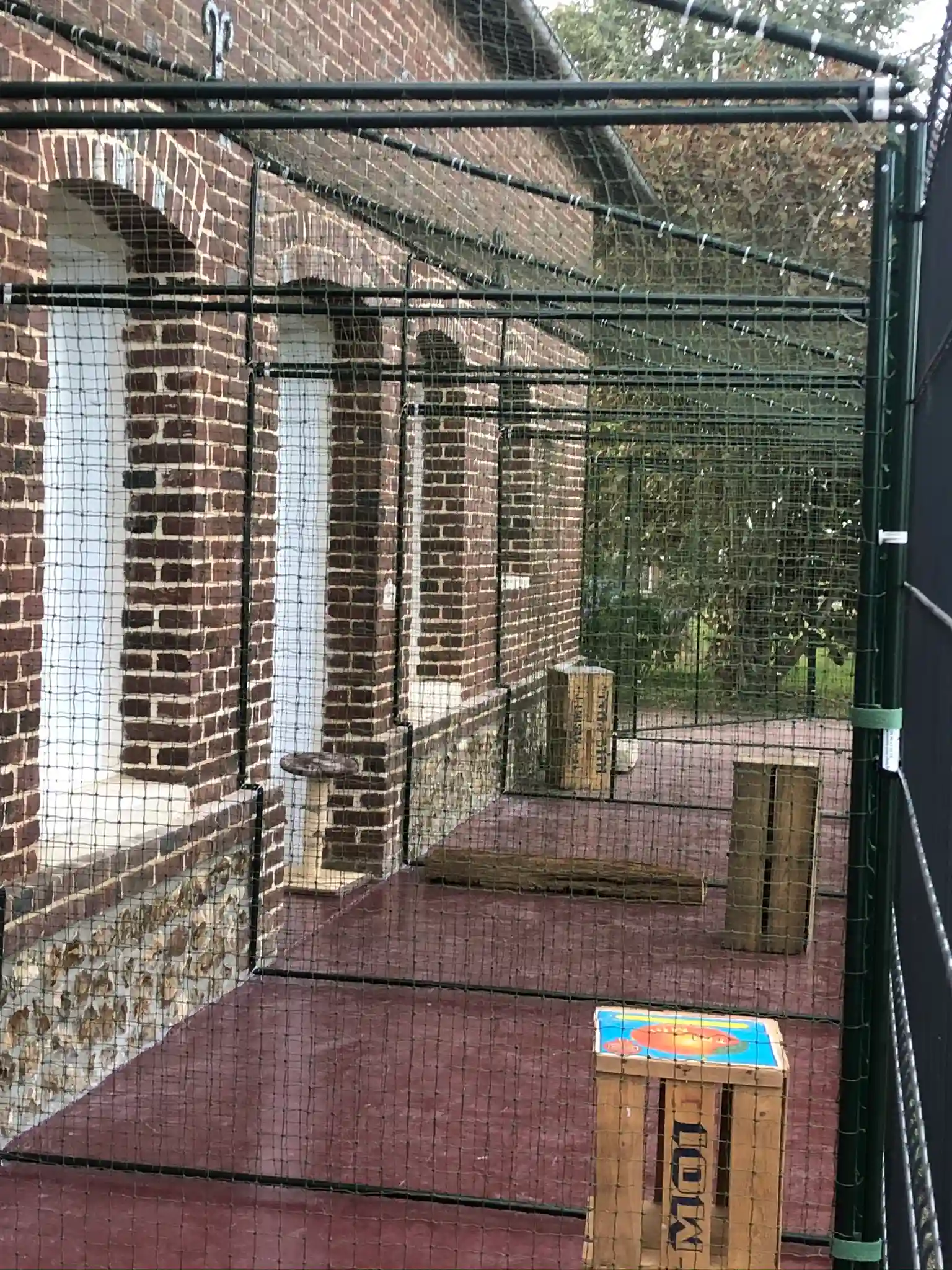 La Solution Sécurité Pour Votre Chat | Filet et Protection pour Chat