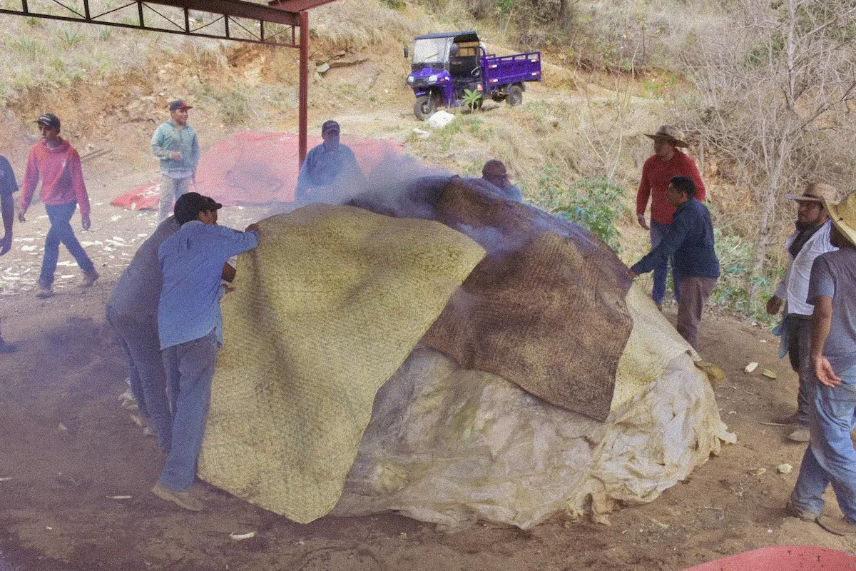 The Mezcal – 100% Agave. Real fruit. Distilled together. | Yotobi Mezcal