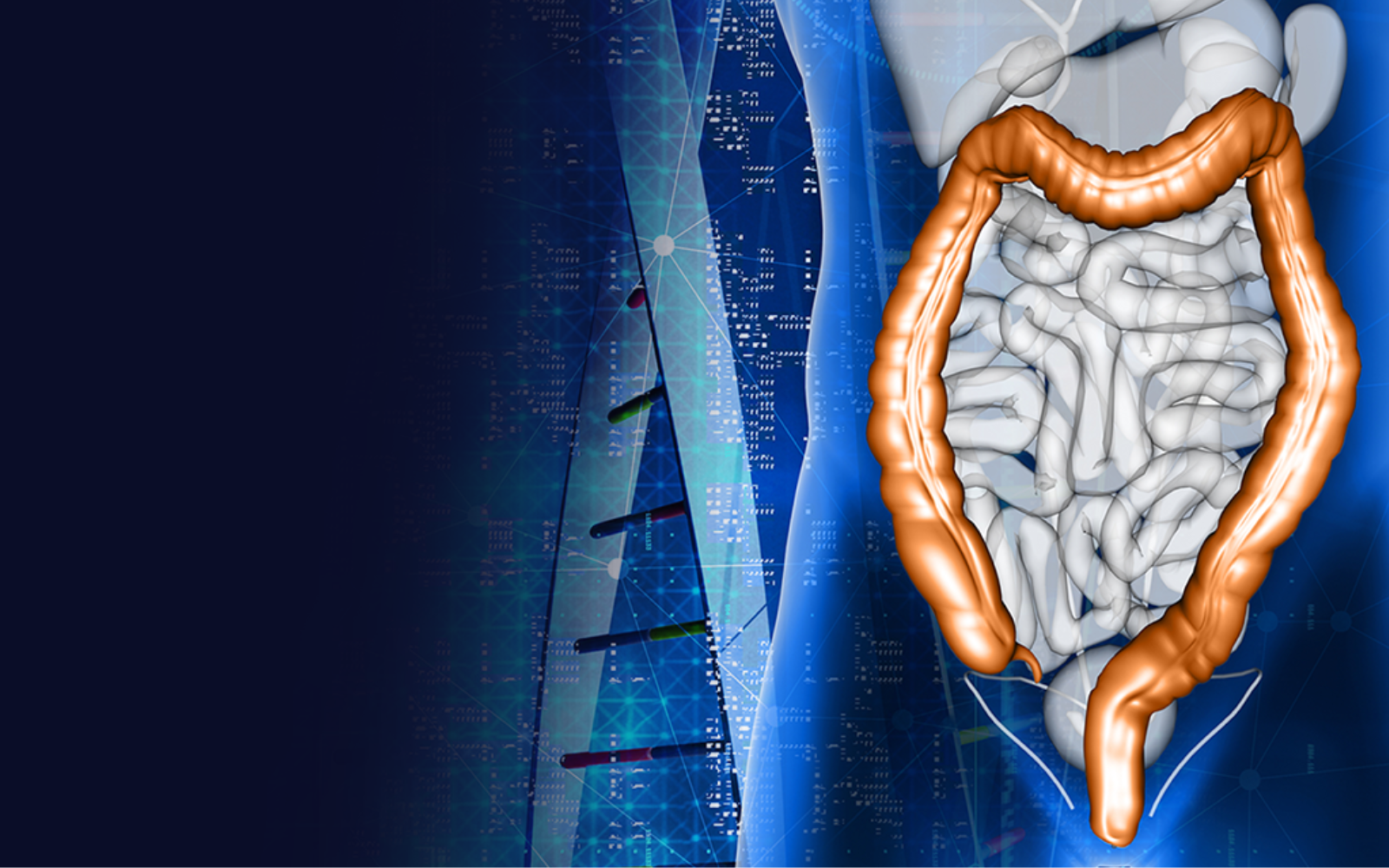 Rectal Ozone Therapy What It Is, How It Works and How to Do It Yourself