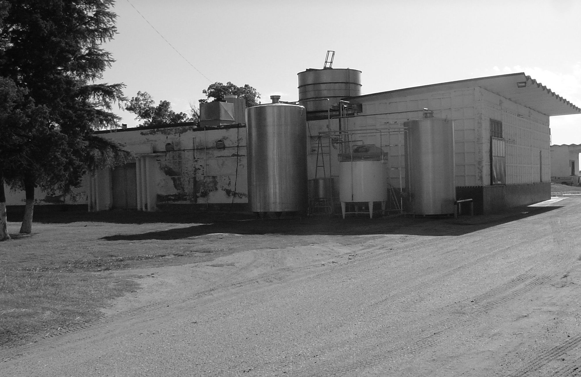 Grupo Elcor. Tonadita.