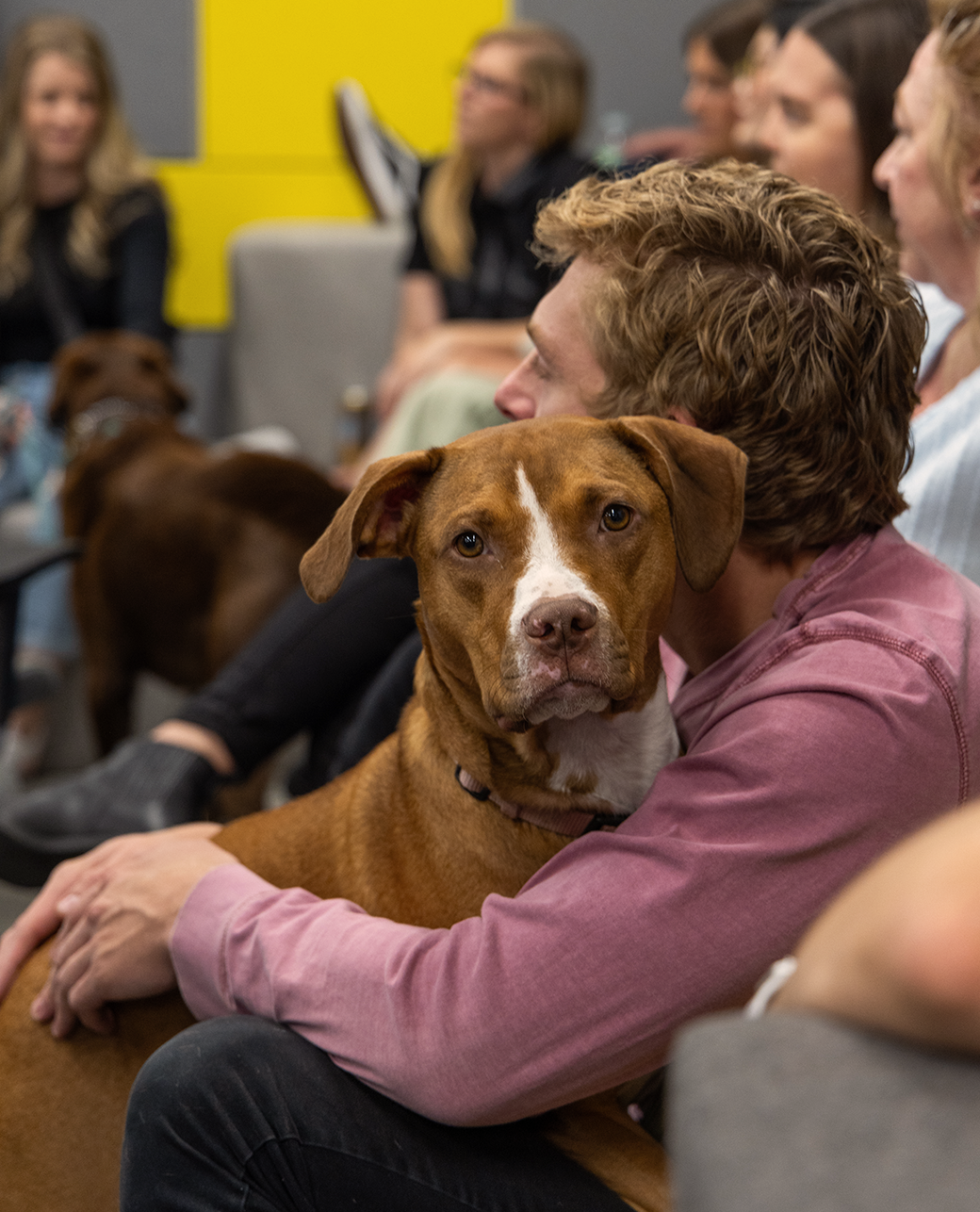 Vladimir Jones | Careers