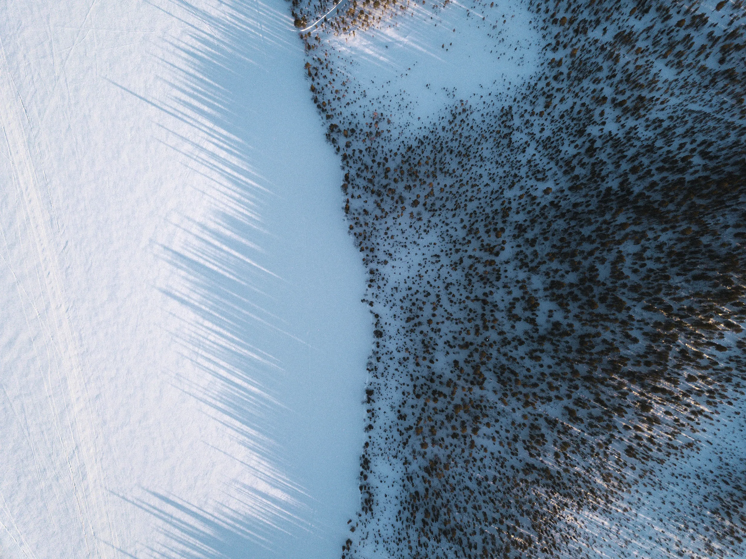 Meet our expert instructors