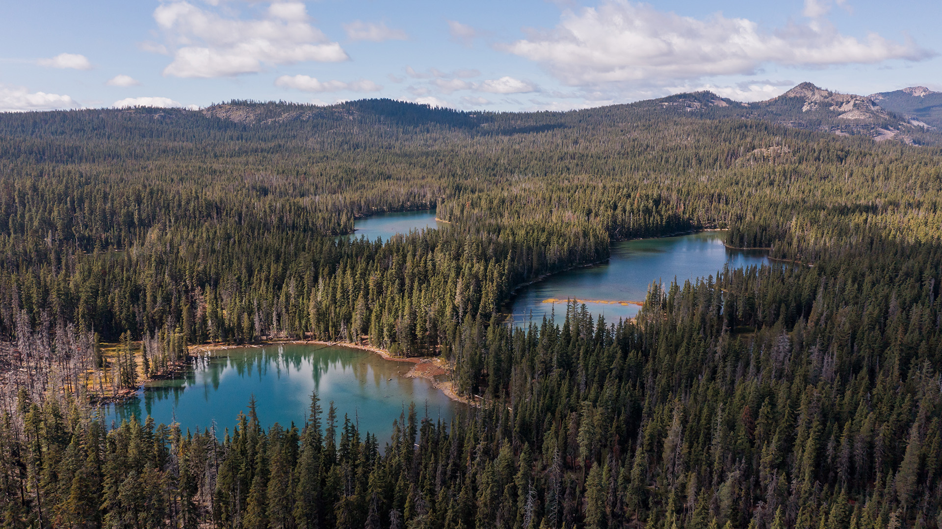 Find Your Lake: Dive in to Oregon's Best