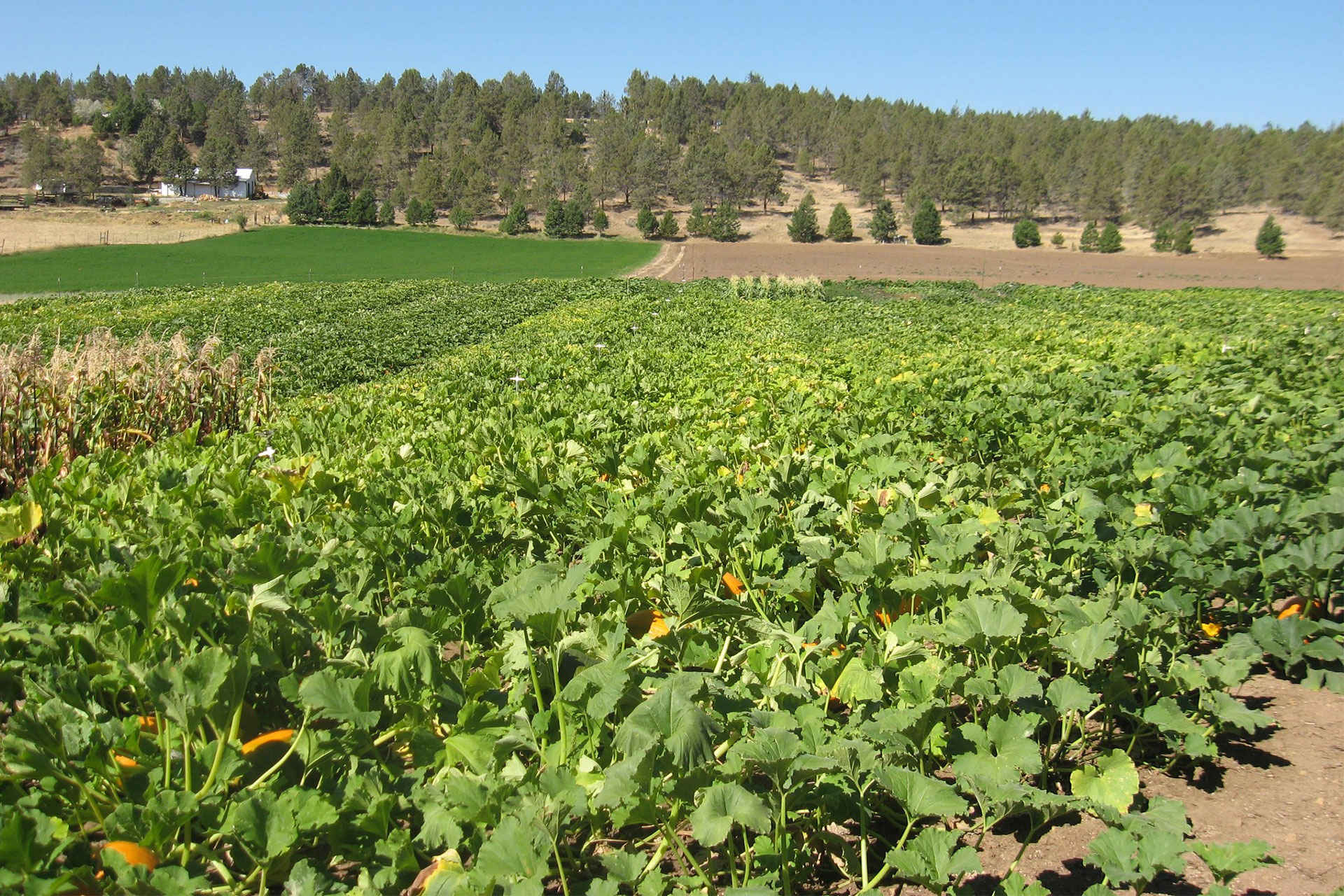 Your Guide to the Crops and Farmers of the Klamath Basin