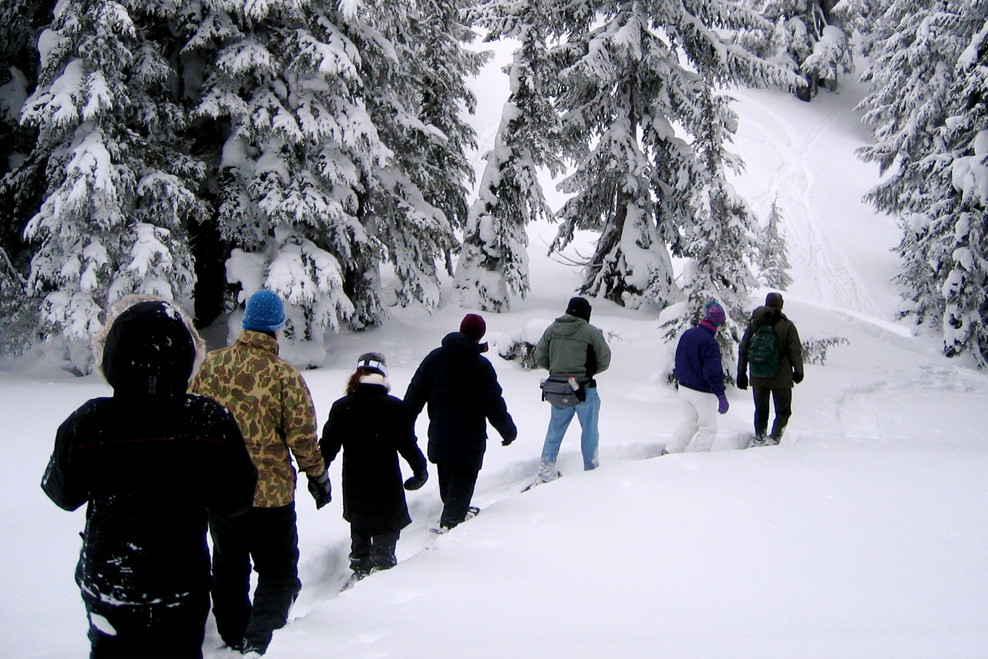 Top 5 Ways to Enjoy Winter at Crater Lake National Park