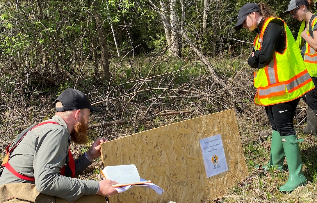GIFL Project: Terrestrial Existing Conditions Report - Georgina Island ...