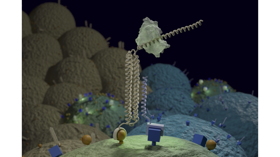 Outpace Article | Red Light, Green Light: Precise cell targeting with ...