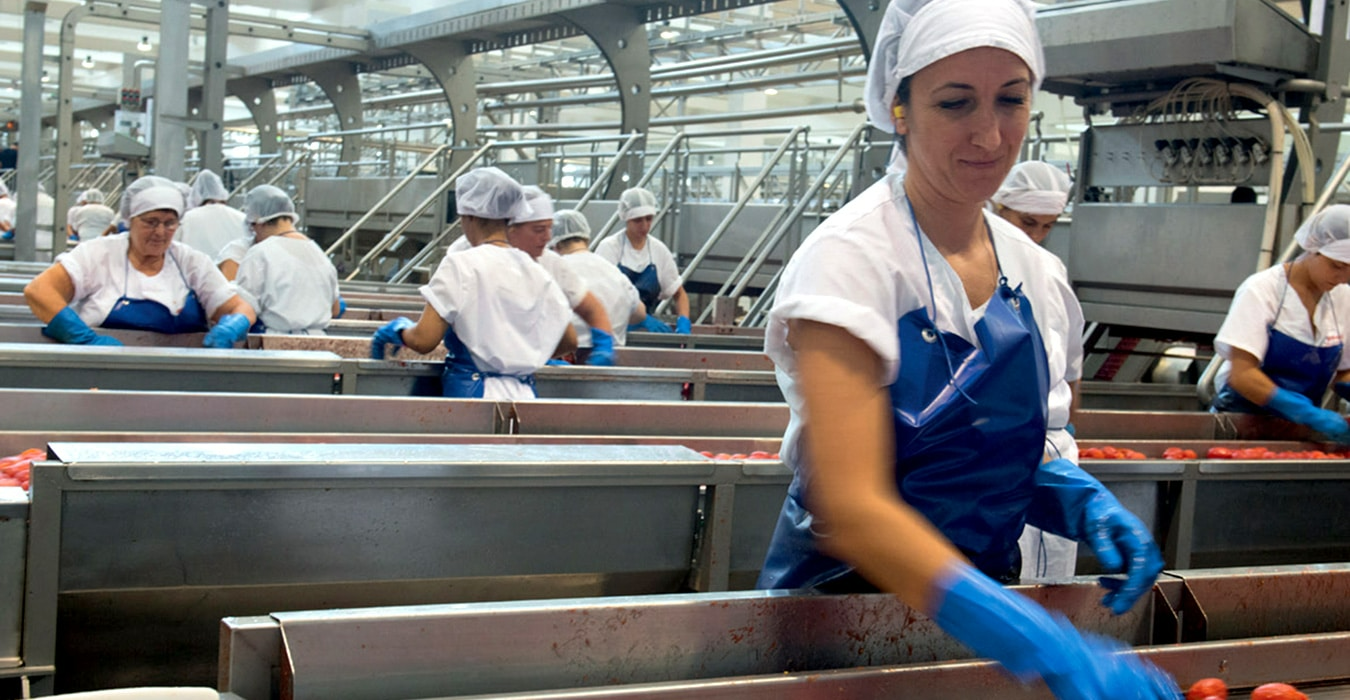 Princes Case Study - LMS Platform Example - Thrive