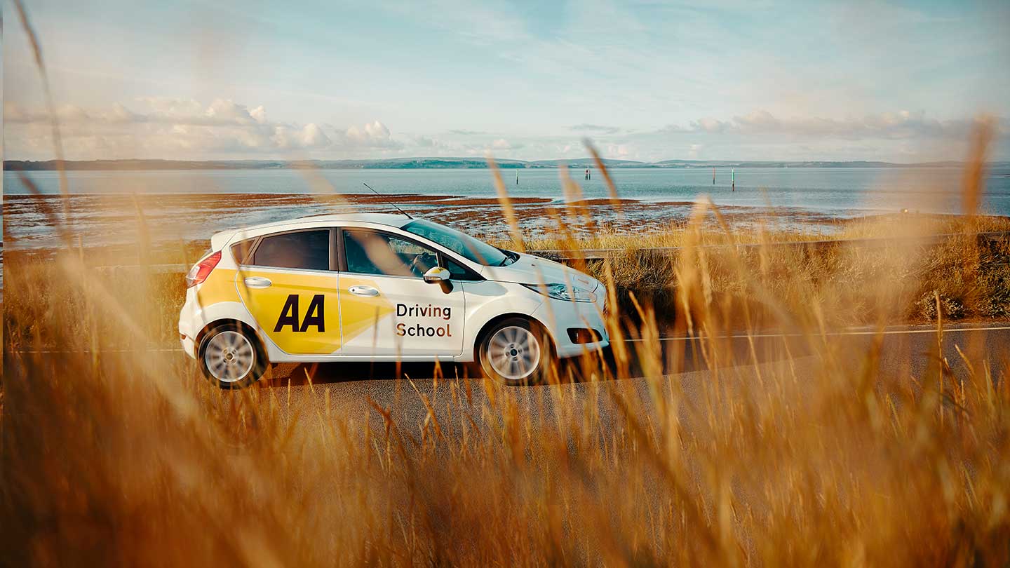 AA Driving Instructor Training Academy - Learning Platform Example - Thrive