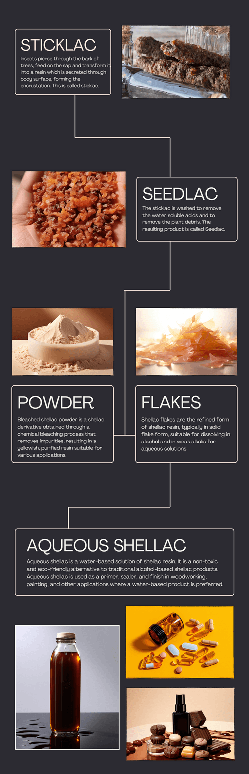 All About Shellac: Nature's Miracle Resin