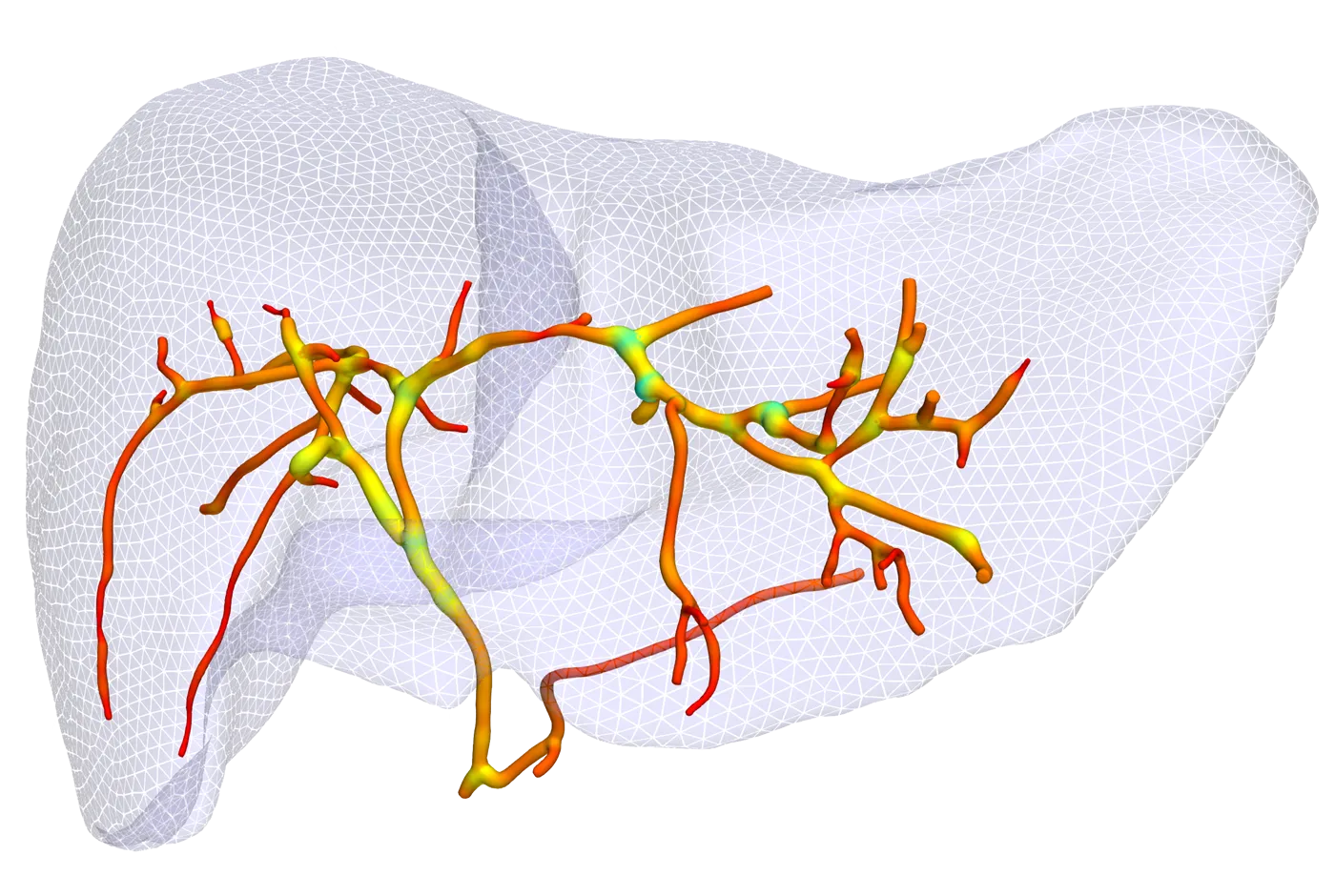 For Professionals | Perspectum