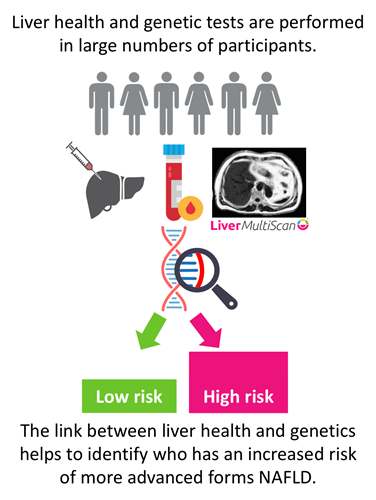 Perspectum and UK Biobank help to uncover genetic marker associated ...