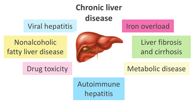 Multiparametric MRI: bridging the diagnostic gap for liver disease ...