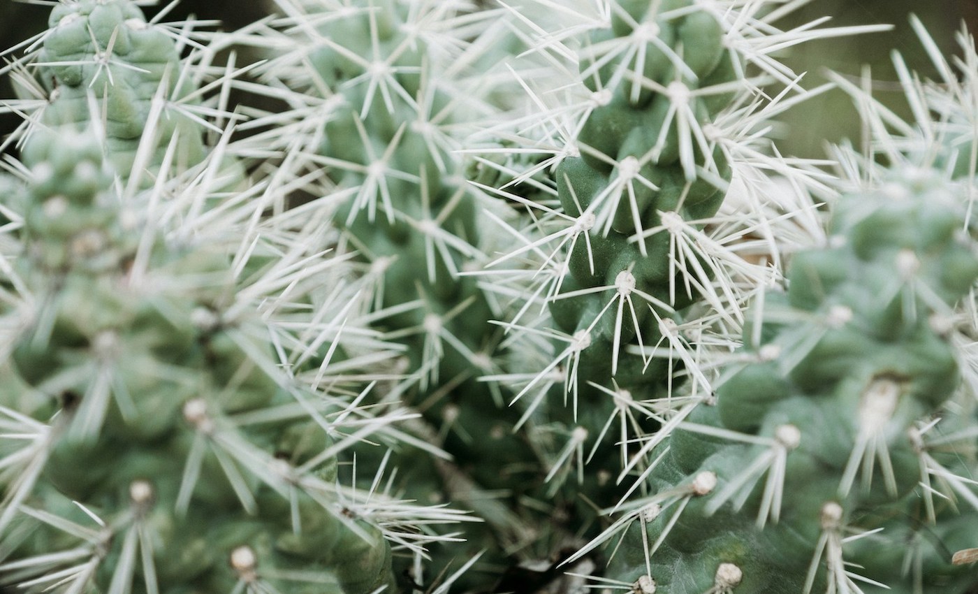 Diving into hackathons and tech spikes, and how they benefit an agile team | We sat down with ...