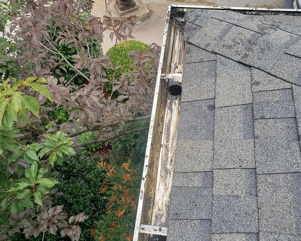 Gutter Cleaning in Butler and North Allegheny Counties | Grand View ...