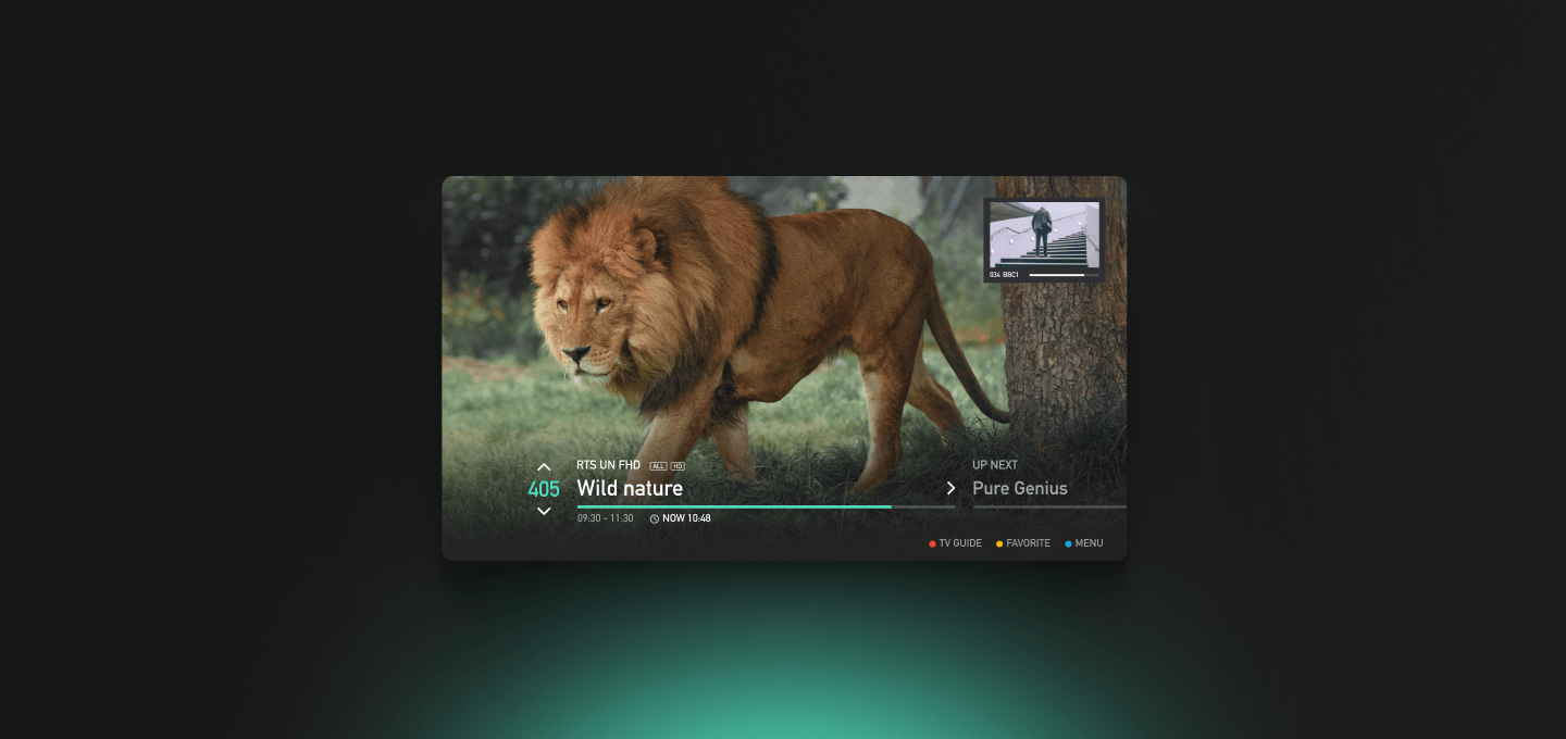 Smart STB IPTV—3,000+ Channels on a TV | Fora Soft