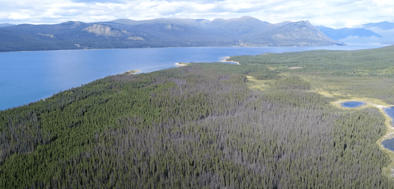 Kluane First Nation - Bringing Research Home - Resources