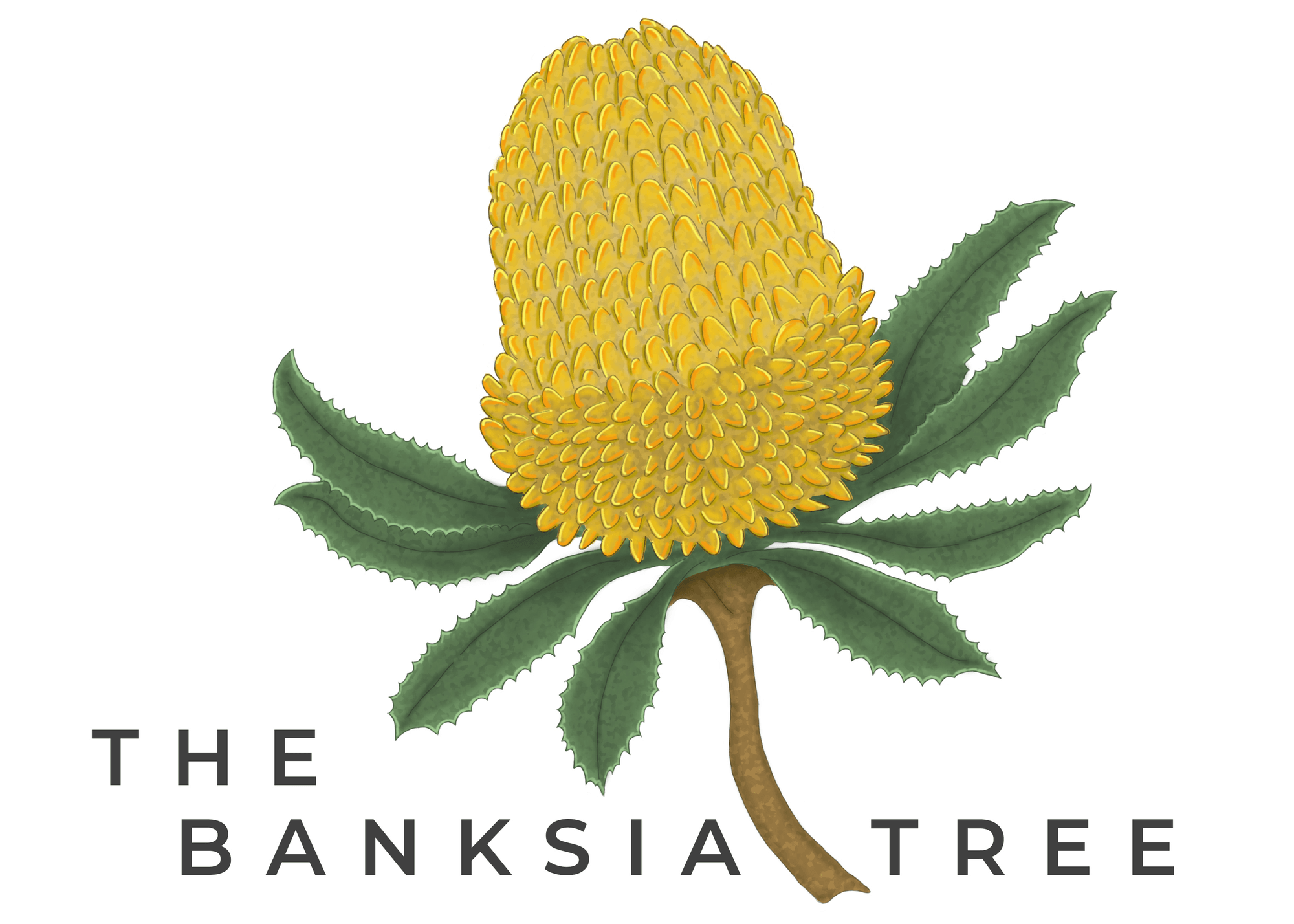 The Banksia Tree Cafe | Port Adelaide | Local Seasonal Sustainable