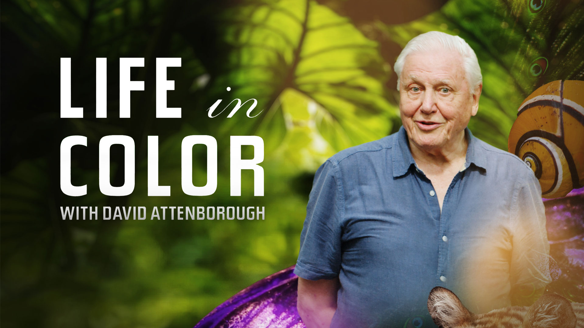 Life in Color with David Attenborough | Global Trekker