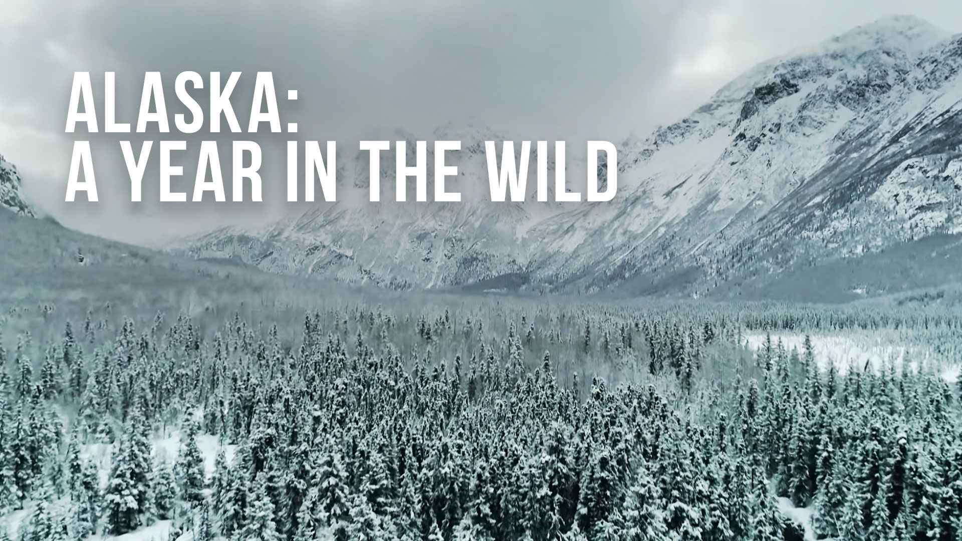 Alaska: A Year In The Wild | Global Trekker