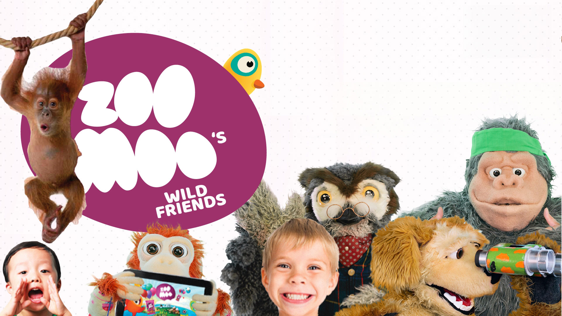 ZooMoo's Wild Friends | ZooMoo