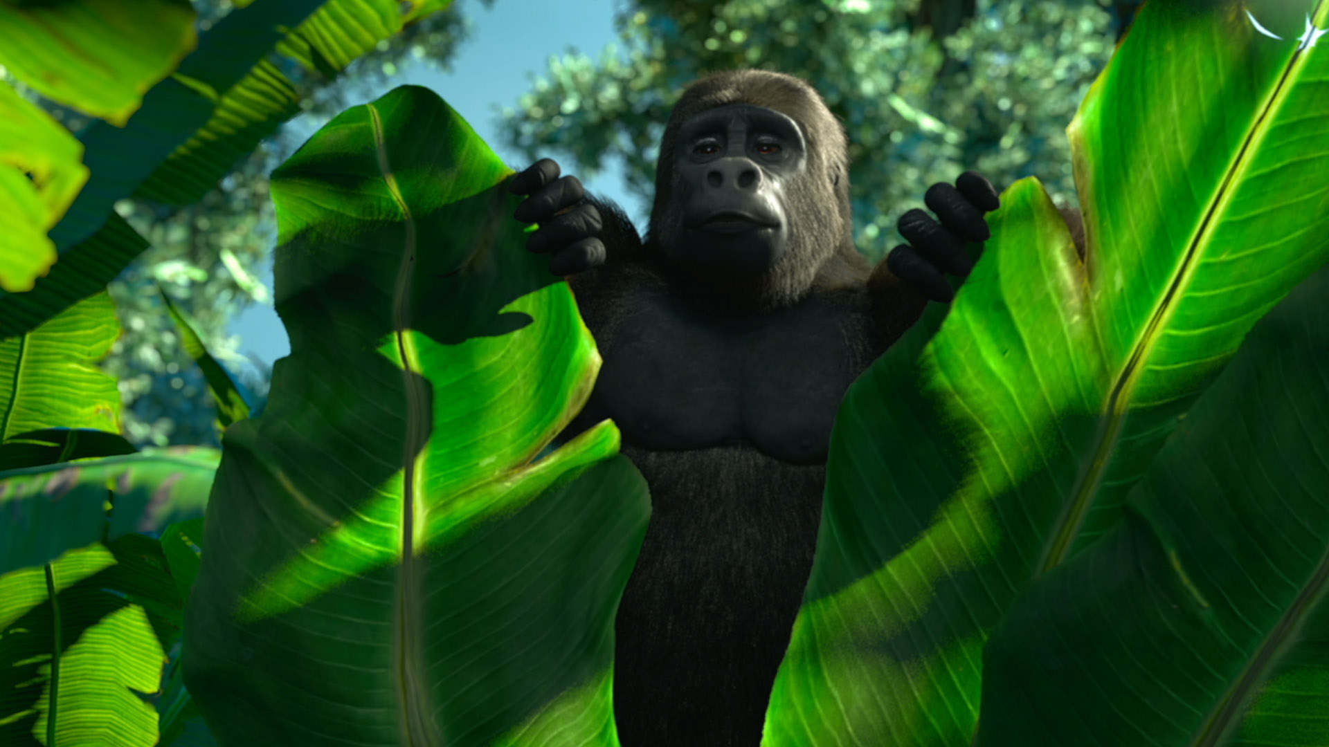 Tarzan | ROCK Entertainment