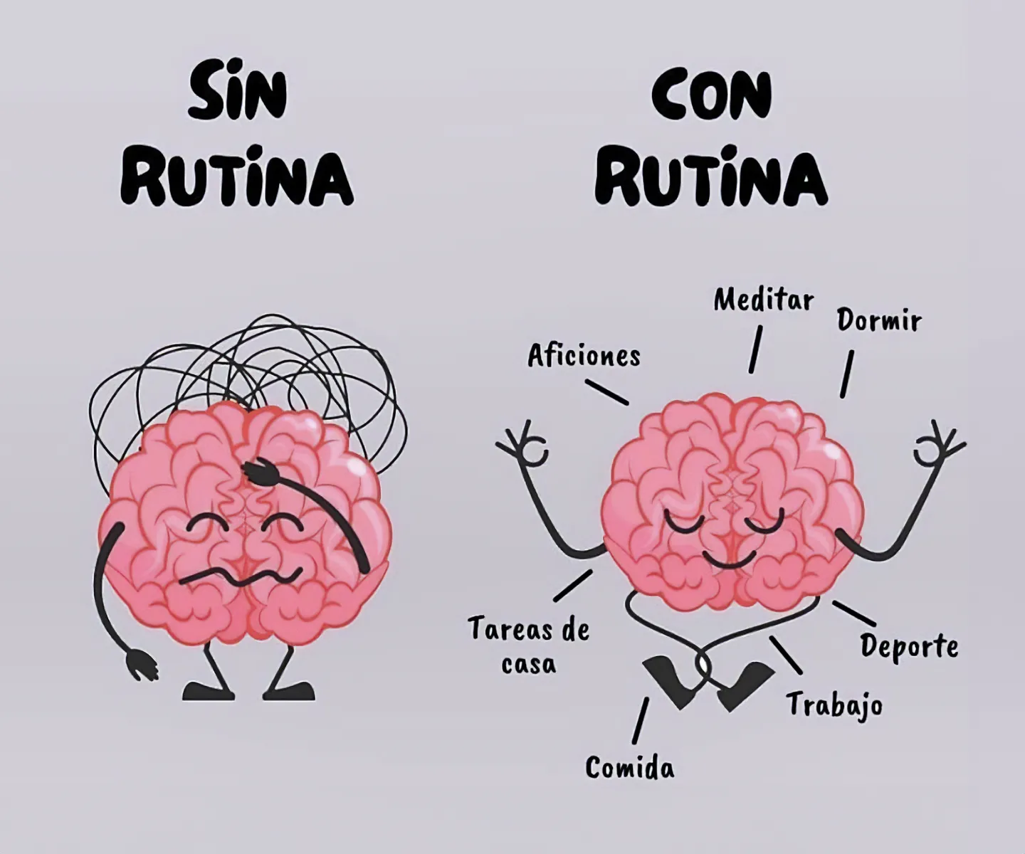 Rutinas
