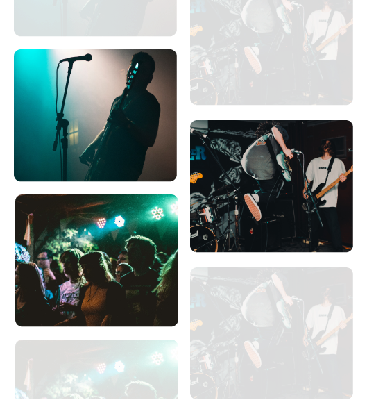 GigPig - Book gigs. Get gigs.