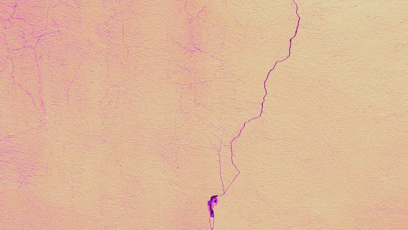 It Can Happen to Anyone: Dispelling the Myths Around Abuse | Niv Mag