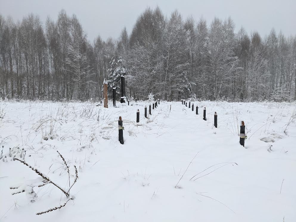 Safran Foer’s Trachimbrod, Revisted | Niv Mag