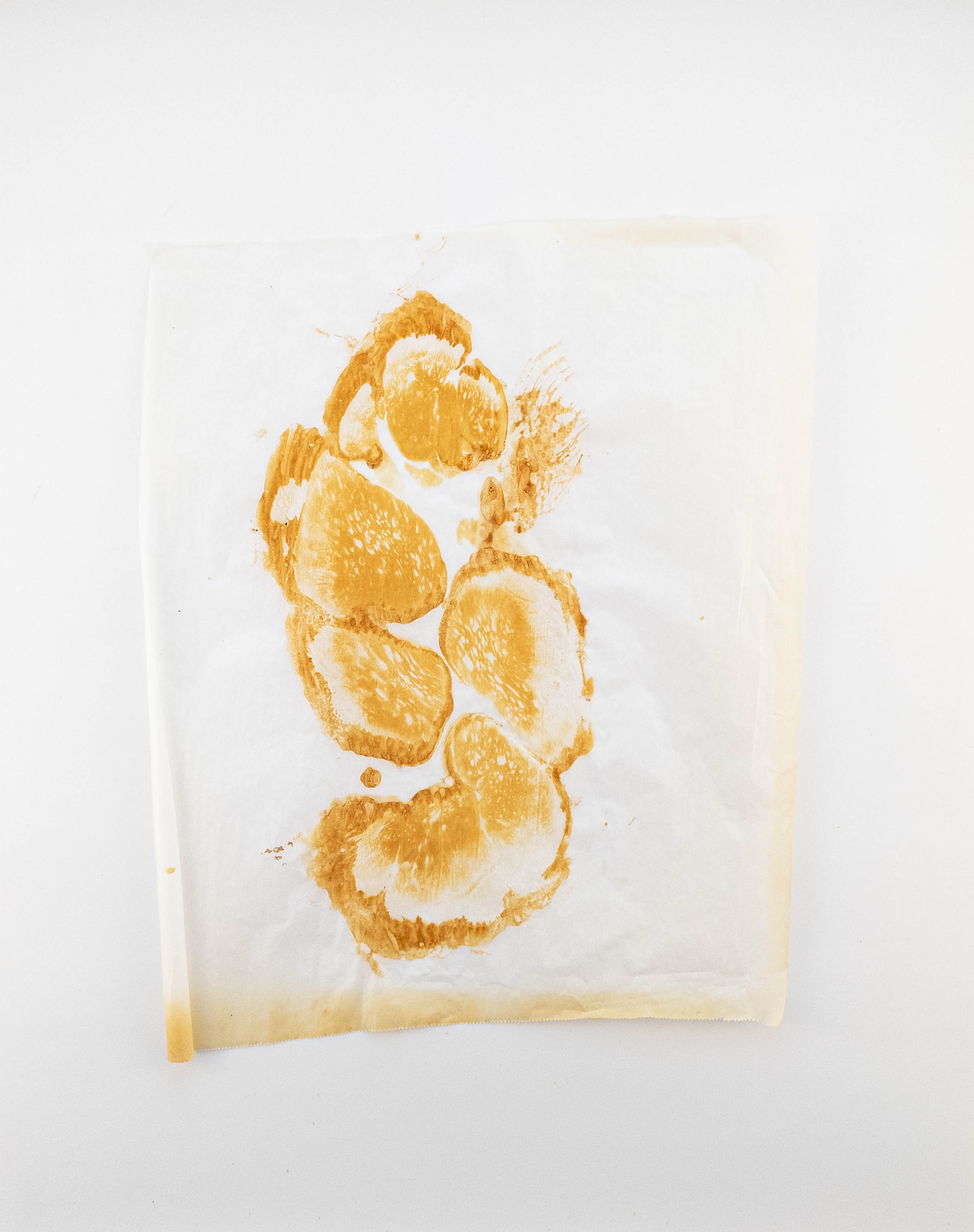 The Stories Behind the Parchments | Niv Mag