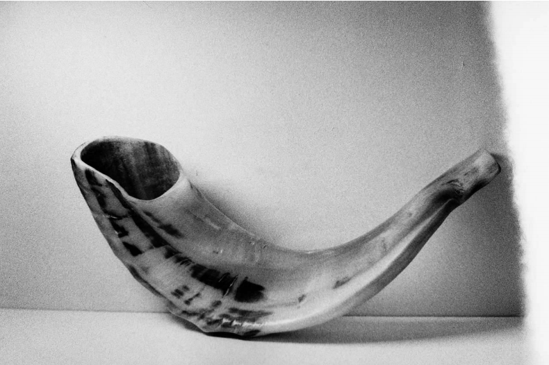 Aaron Rotenberg | Niv Mag