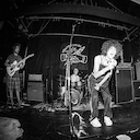 Foxtails | The Non-Binary Faces of Screamo