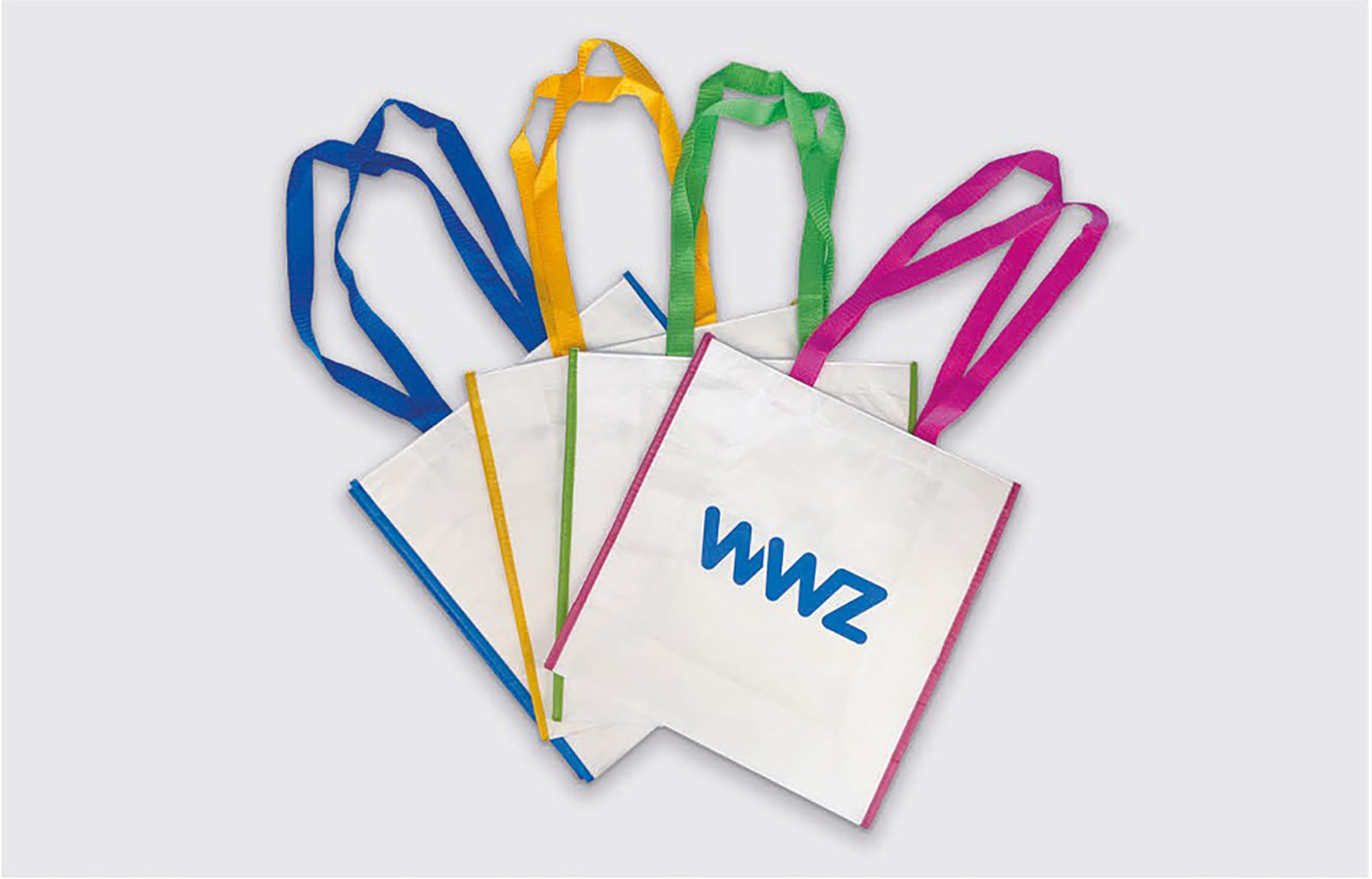 WWZ Merchandising | Projekte | fachwerk