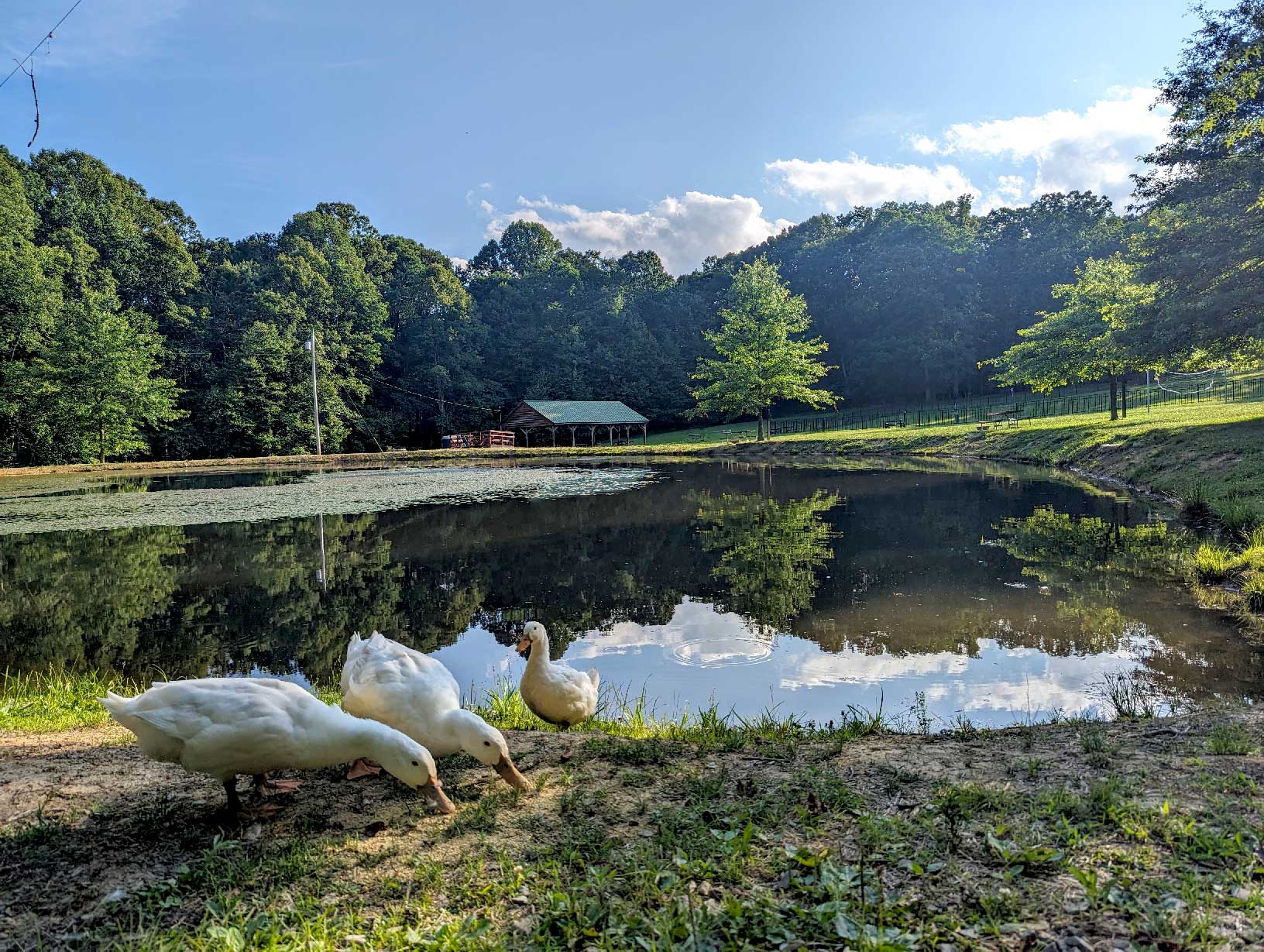 About Benner’s Meadow Run | Welcome to Our Campground