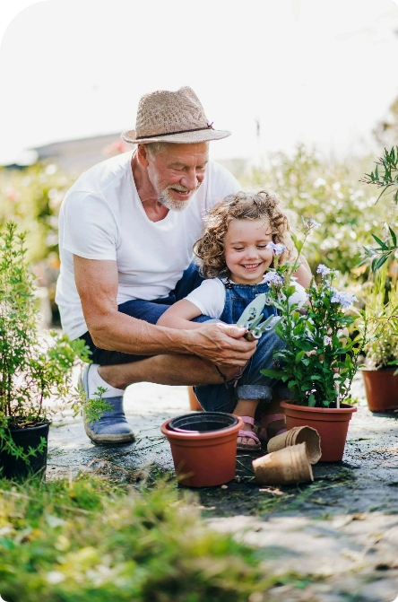 Bloom Finance- Home Page